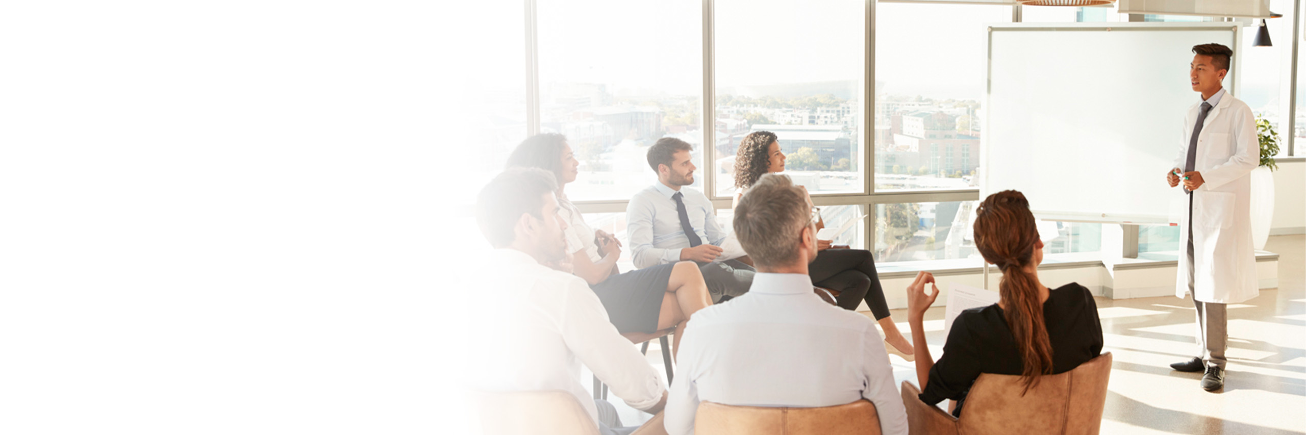 FEMTO LDV Z8 Technical Advanced / Ziemer Ophthalmic Systems AG